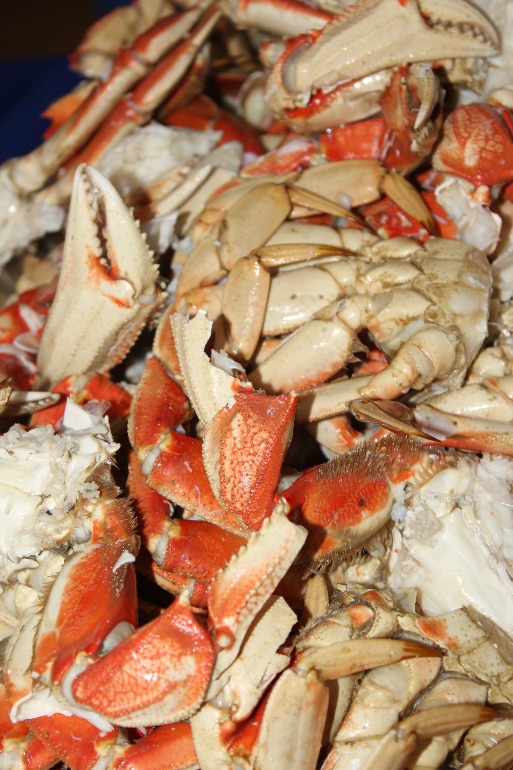 Crab crackin’ brings in big bucks for Rotary's charity | Los Gatan ...