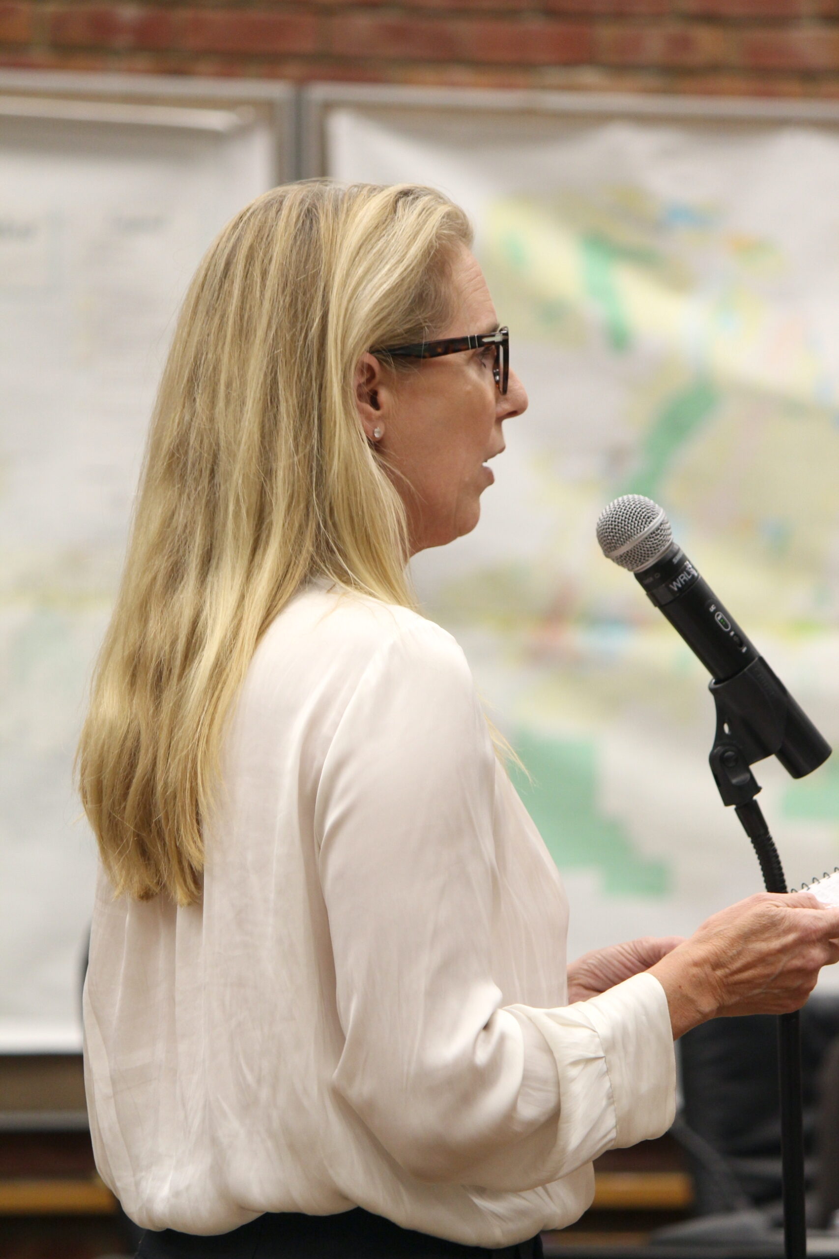 Council Moves to Ban Hidden Guns in Sensitive Places