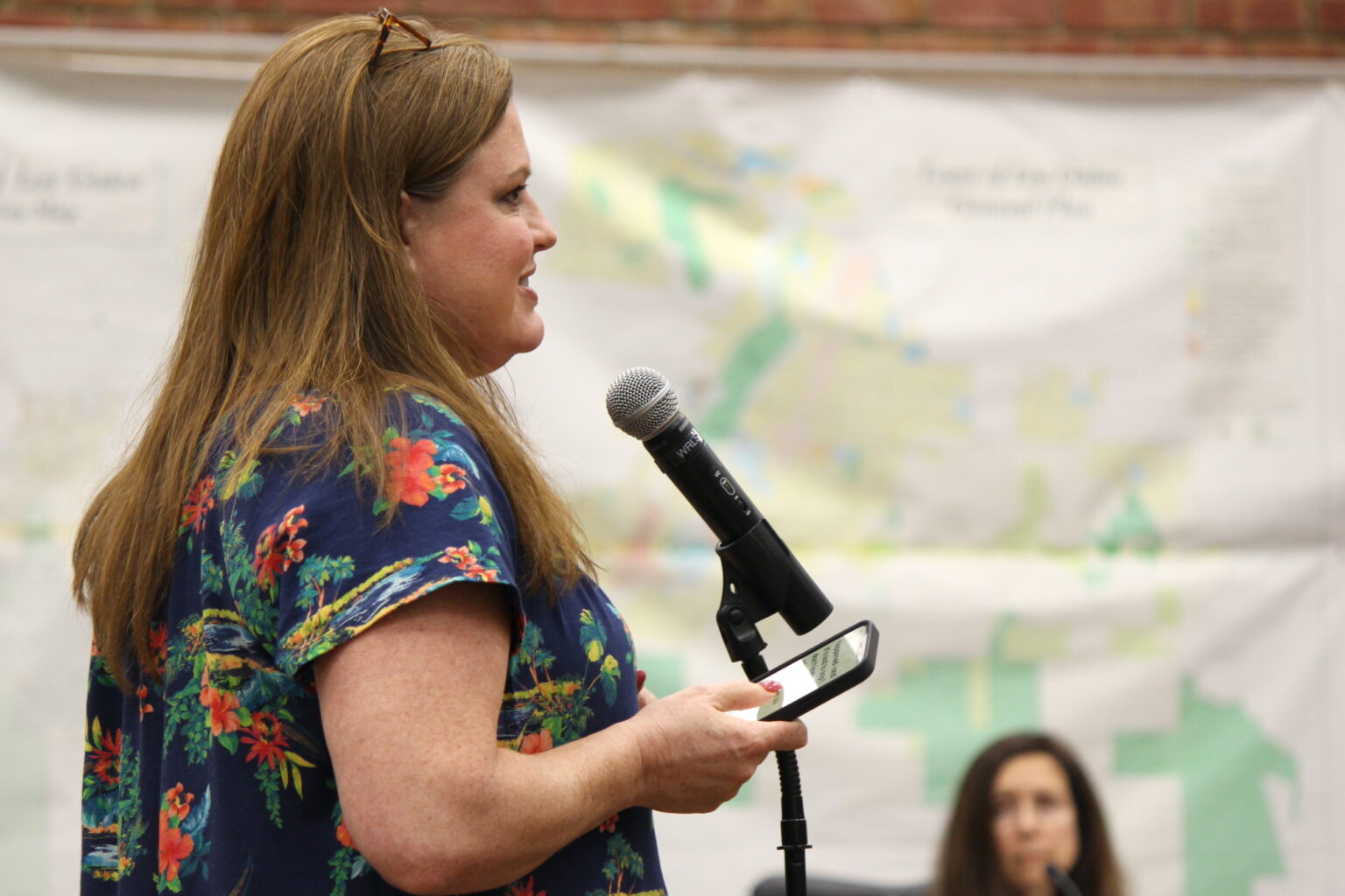 Council introduces ordinance to outlaw hidden guns in ‘sensitive ...